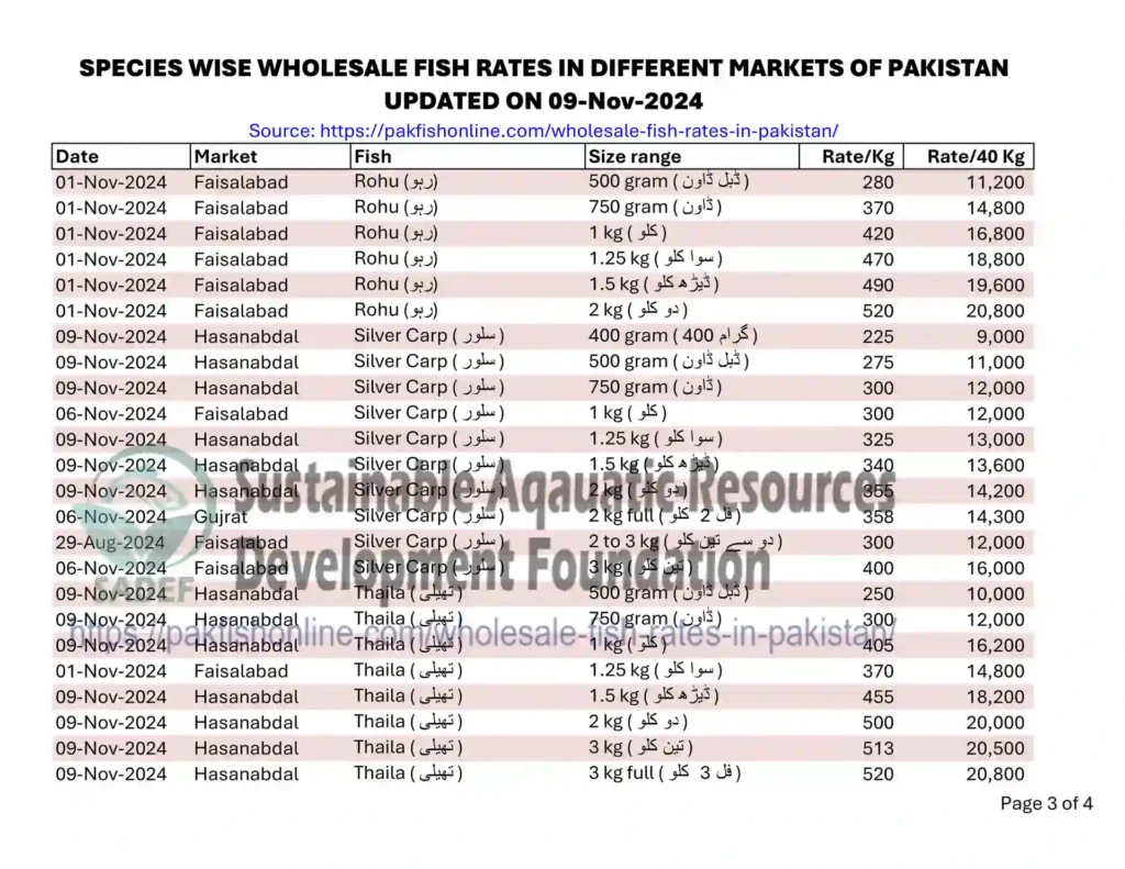 Wholesale Fish Rates in Pakistan: Top 5 Markets - Pak Fish Online